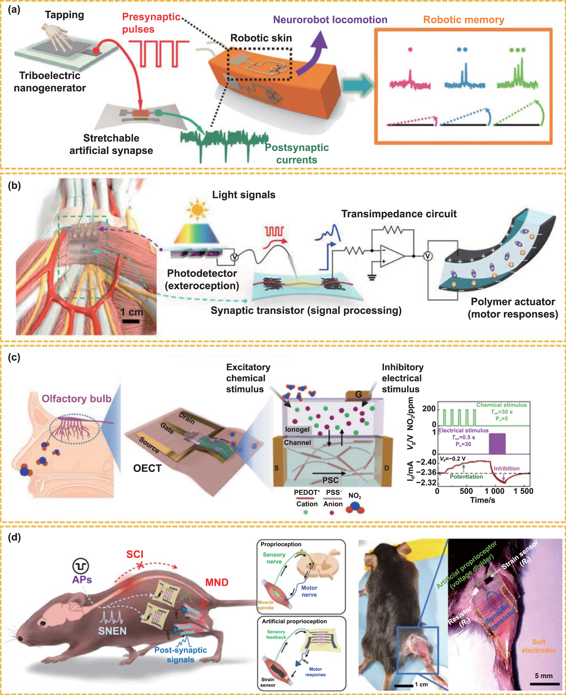Device design principles and bioelectronic applications for flexible ...
