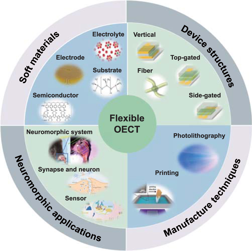 Device design principles and bioelectronic applications for flexible ...