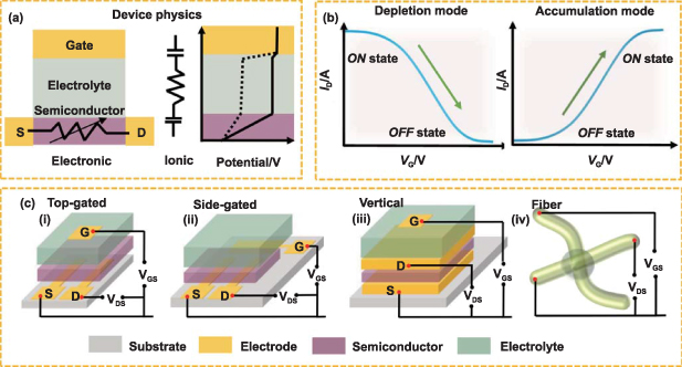 Device design principles and bioelectronic applications for flexible ...