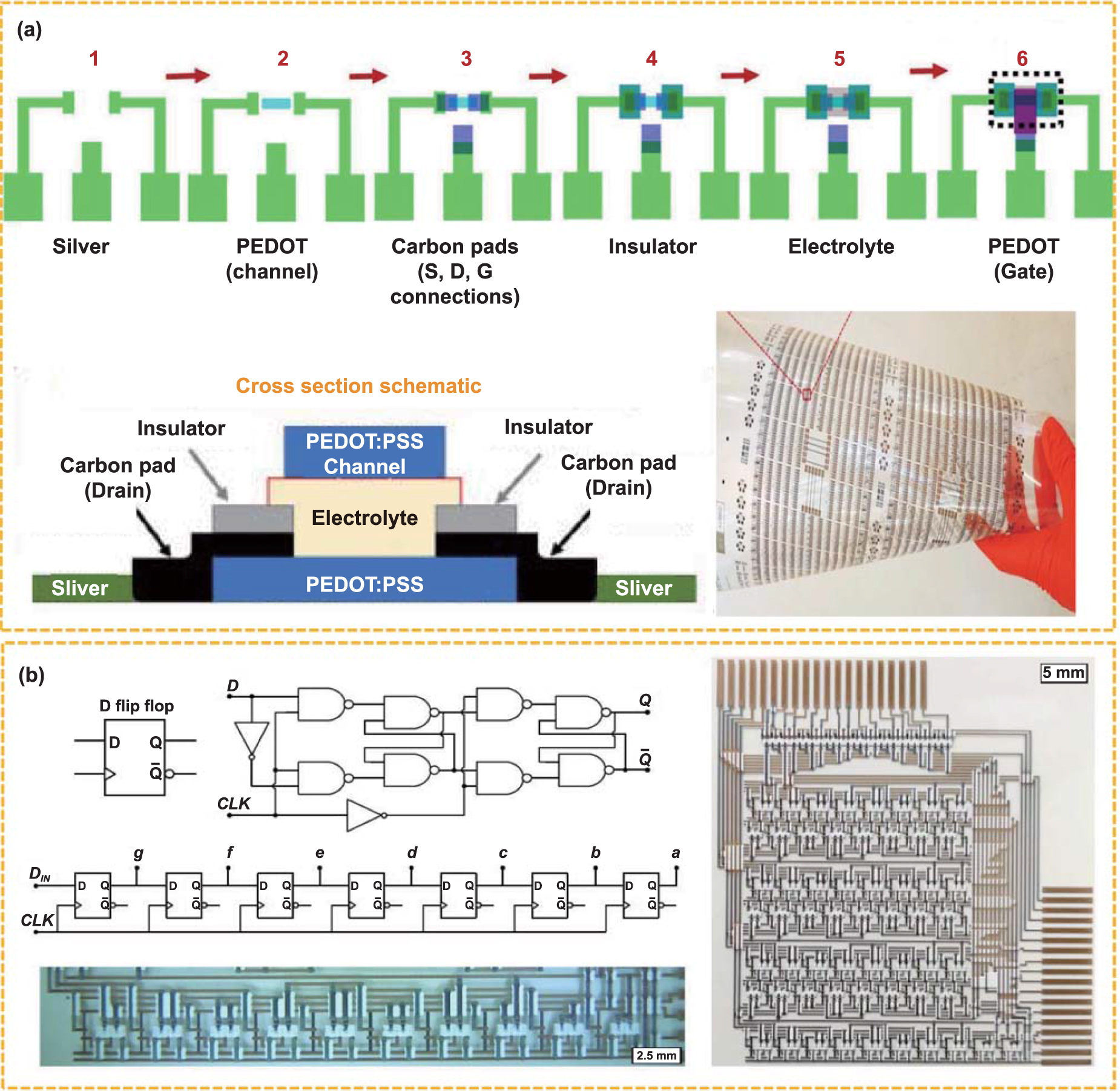 Device design principles and bioelectronic applications for flexible ...