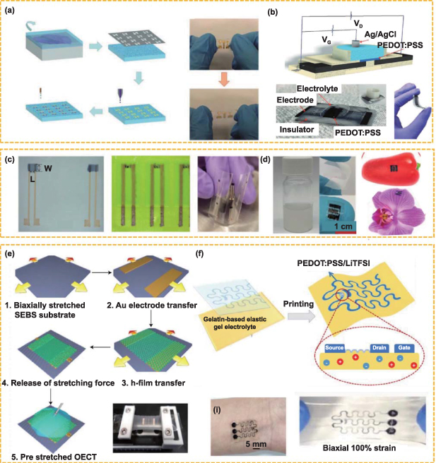 Device design principles and bioelectronic applications for flexible ...