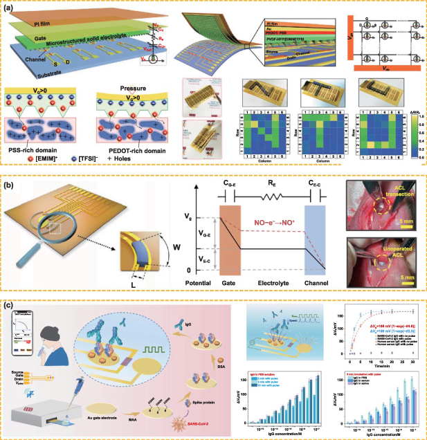 Device design principles and bioelectronic applications for flexible ...