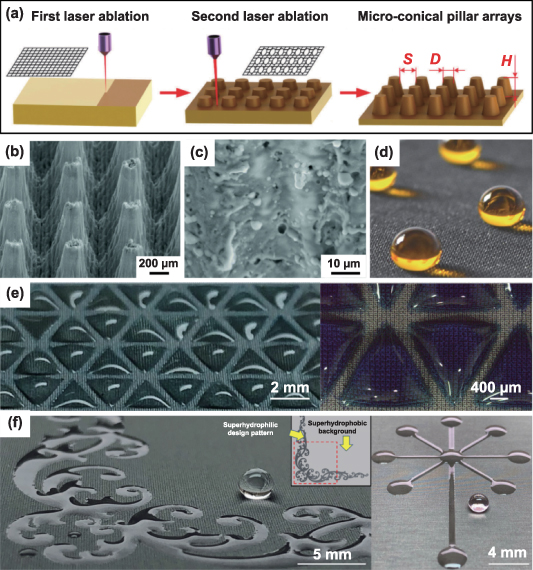 Recent progress in bio-inspired macrostructure array materials with ...