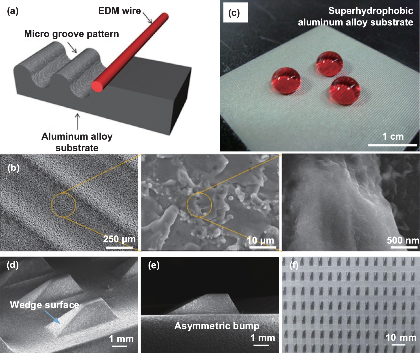 Recent progress in bio-inspired macrostructure array materials with ...