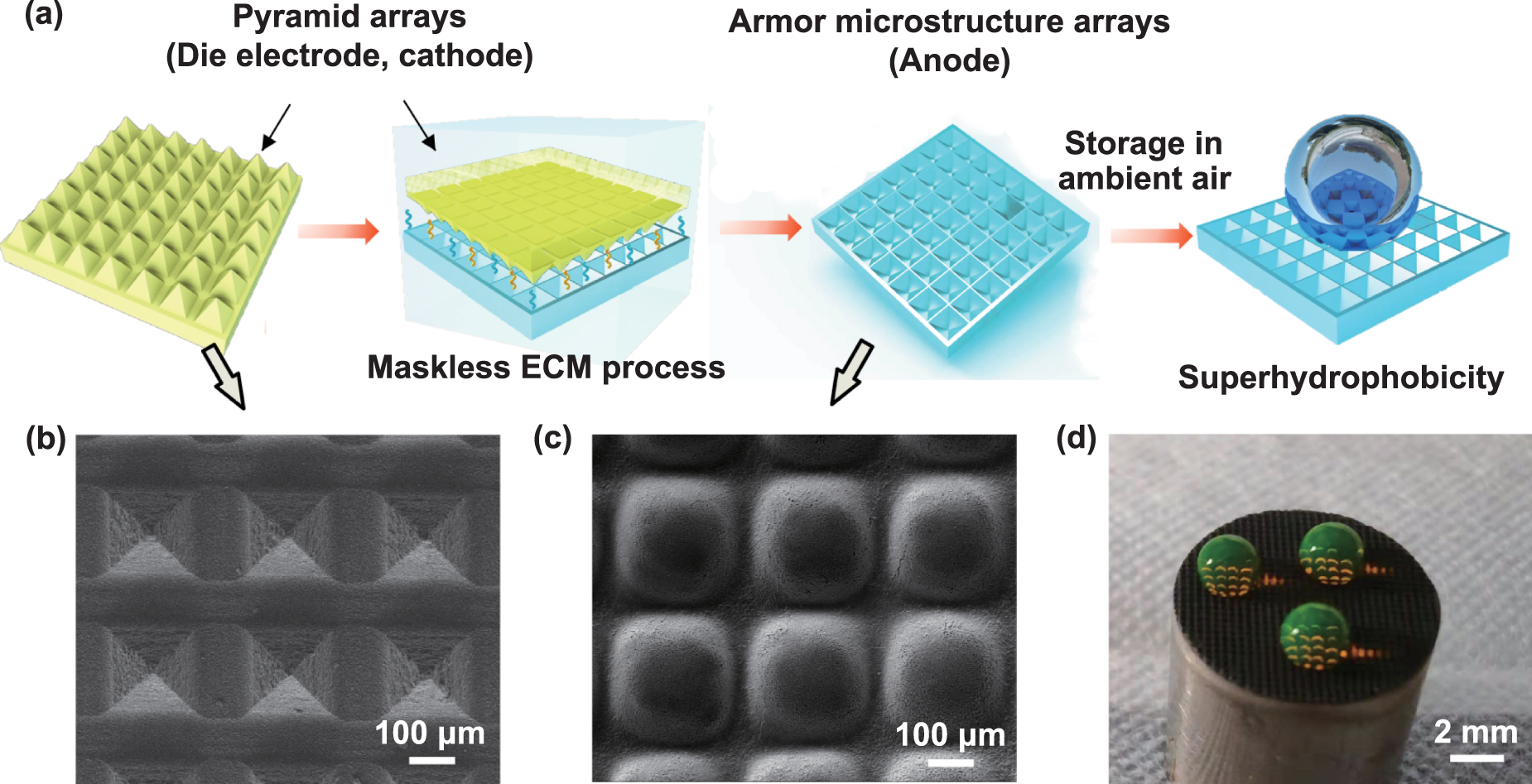 Recent progress in bio-inspired macrostructure array materials with ...