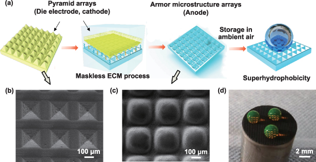 Recent progress in bio-inspired macrostructure array materials with ...