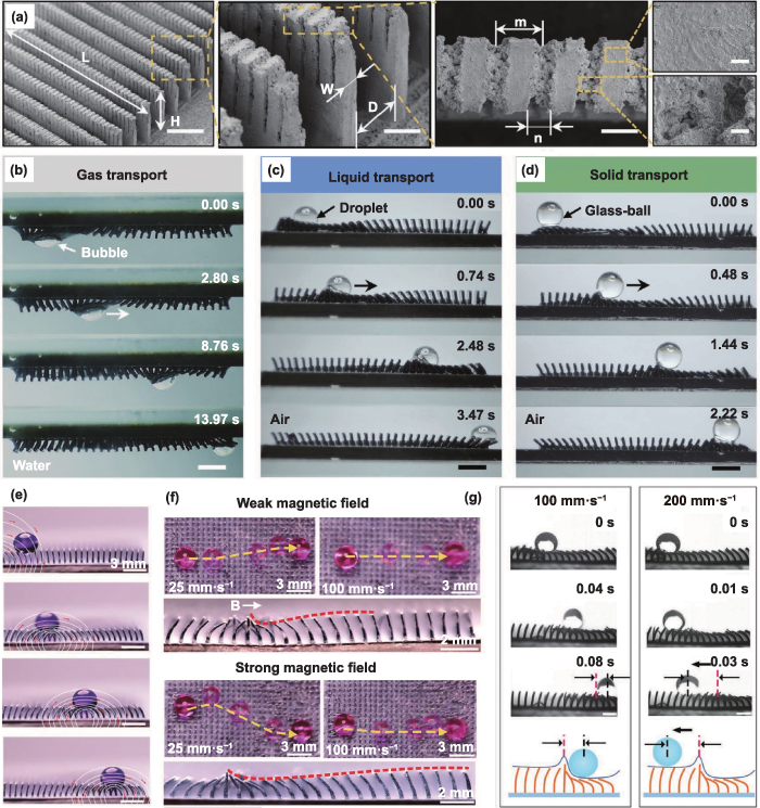 Recent progress in bio-inspired macrostructure array materials with ...