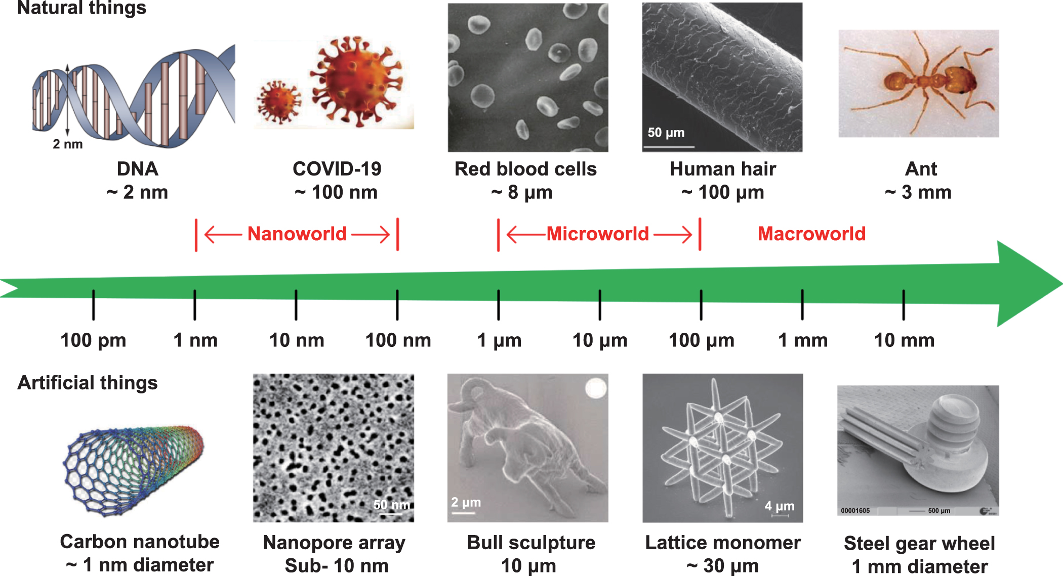 Recent progress in bio-inspired macrostructure array materials with special wettability—from ...
