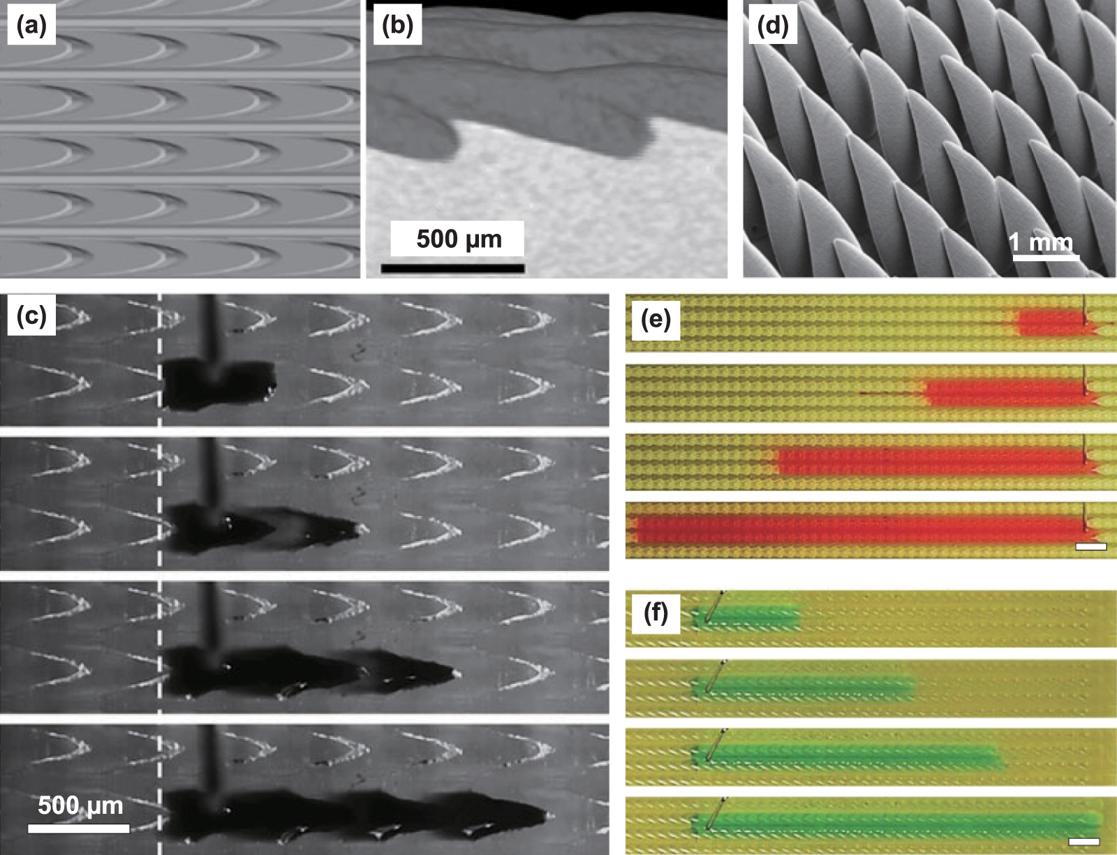 Recent progress in bio-inspired macrostructure array materials with ...
