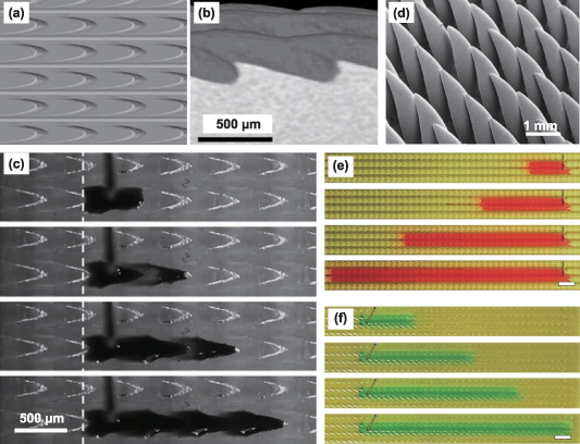 Recent progress in bio-inspired macrostructure array materials with ...
