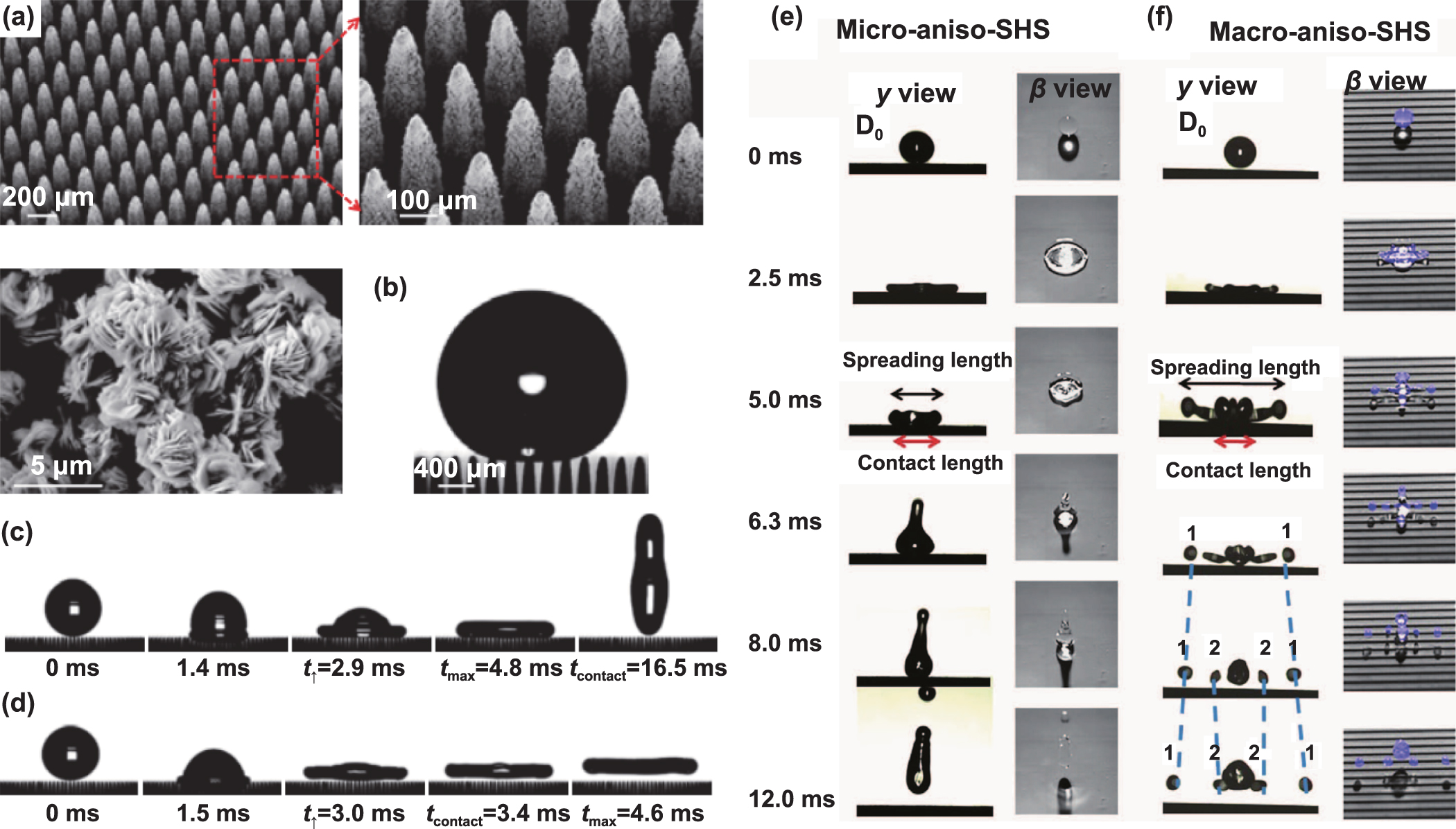 Recent progress in bio-inspired macrostructure array materials with ...