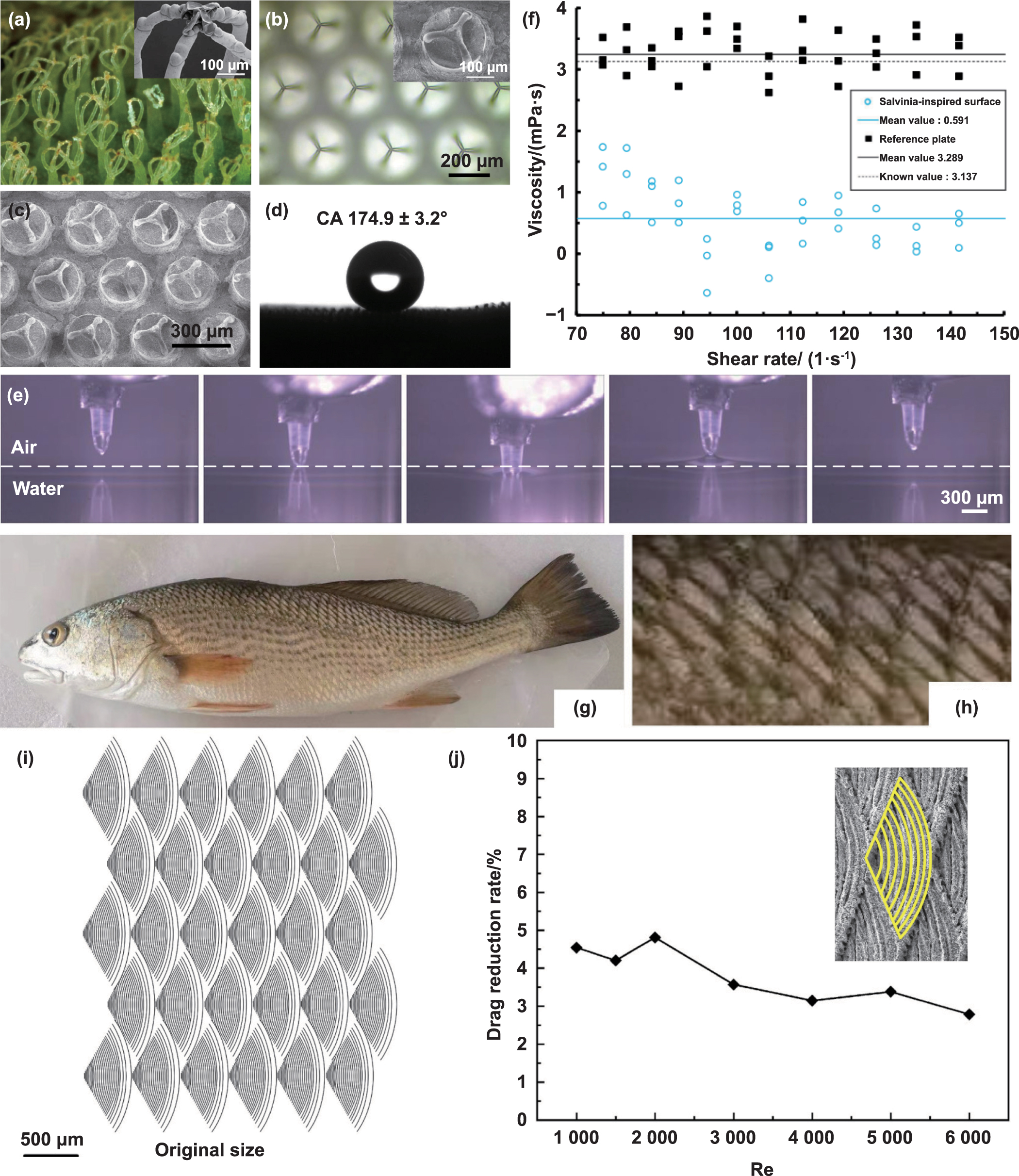 Recent progress in bio-inspired macrostructure array materials with ...