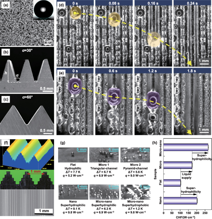 Recent progress in bio-inspired macrostructure array materials with ...