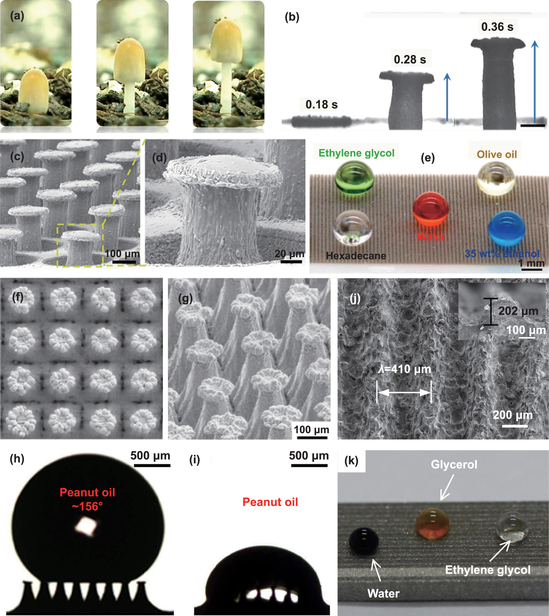 Recent progress in bio-inspired macrostructure array materials with ...