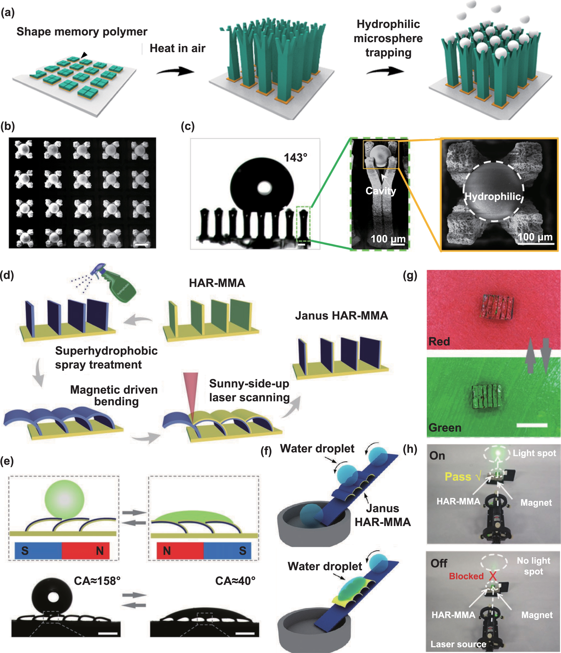 Recent progress in bio-inspired macrostructure array materials with ...