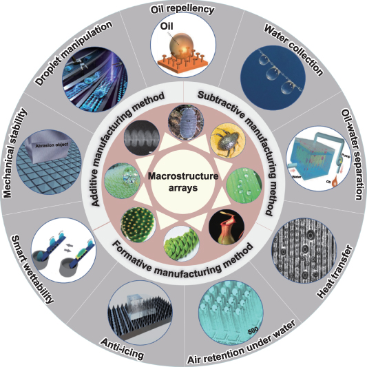Recent progress in bio-inspired macrostructure array materials with ...