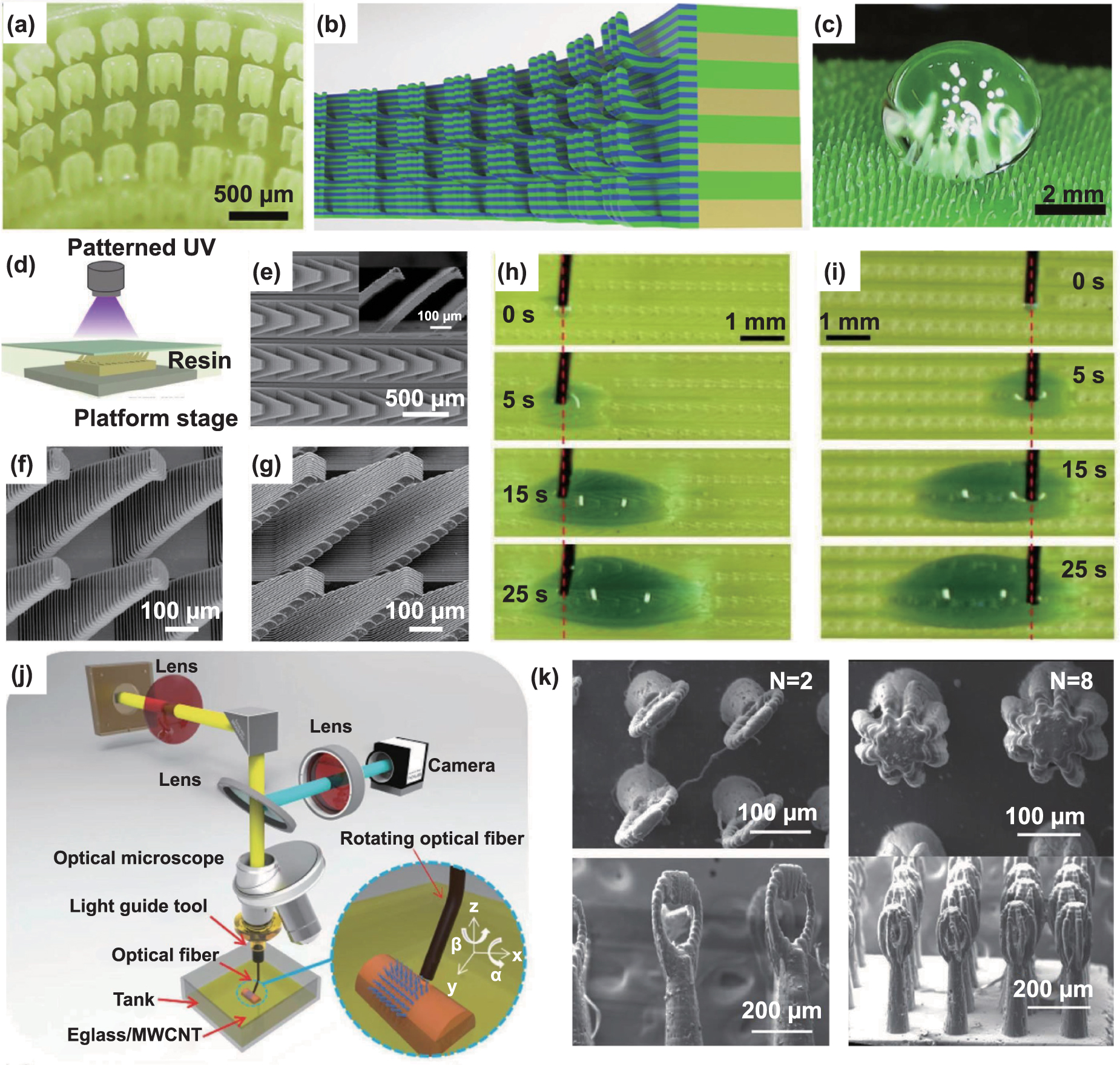 Recent progress in bio-inspired macrostructure array materials with ...