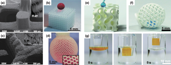 Recent progress in bio-inspired macrostructure array materials with ...