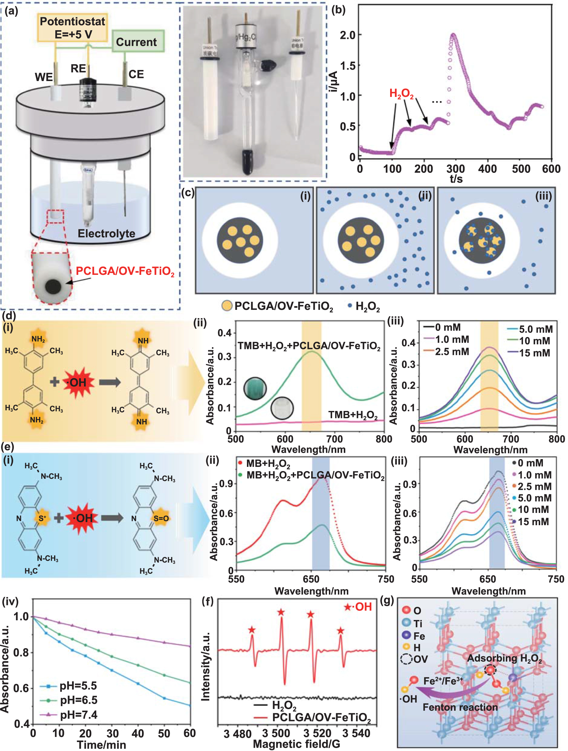 Oxygen vacancy boosting Fenton reaction in bone scaffold towards ...
