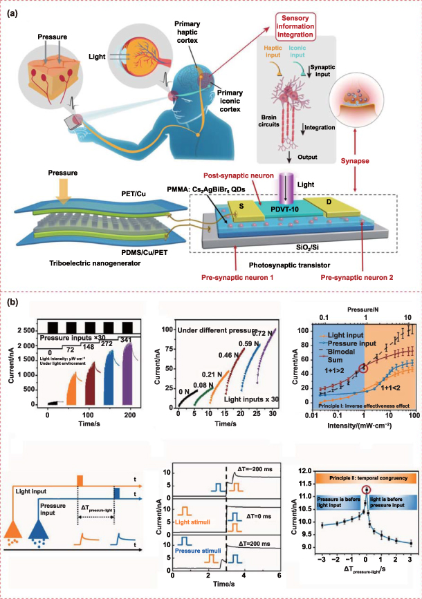 Recent advances in fabrication and functions of neuromorphic system ...