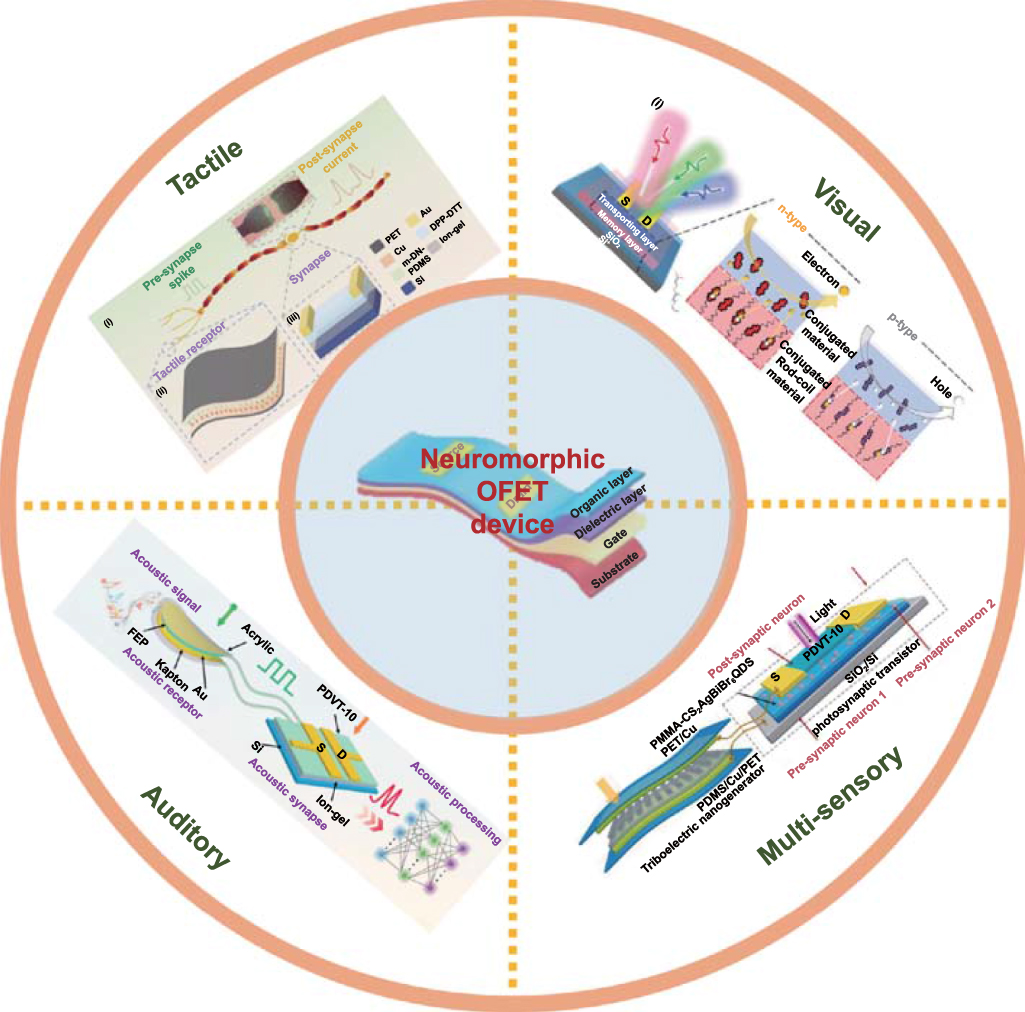 Recent advances in fabrication and functions of neuromorphic system ...