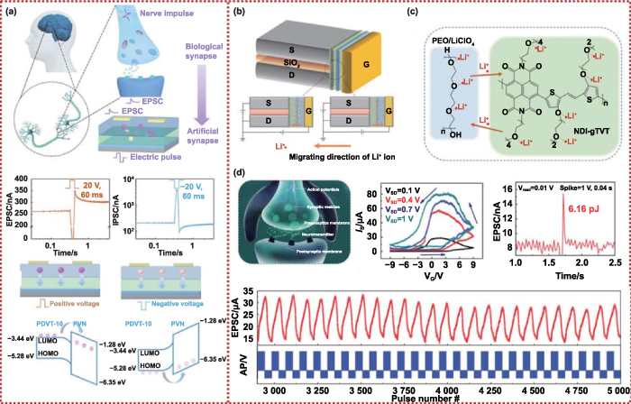 Recent advances in fabrication and functions of neuromorphic system ...