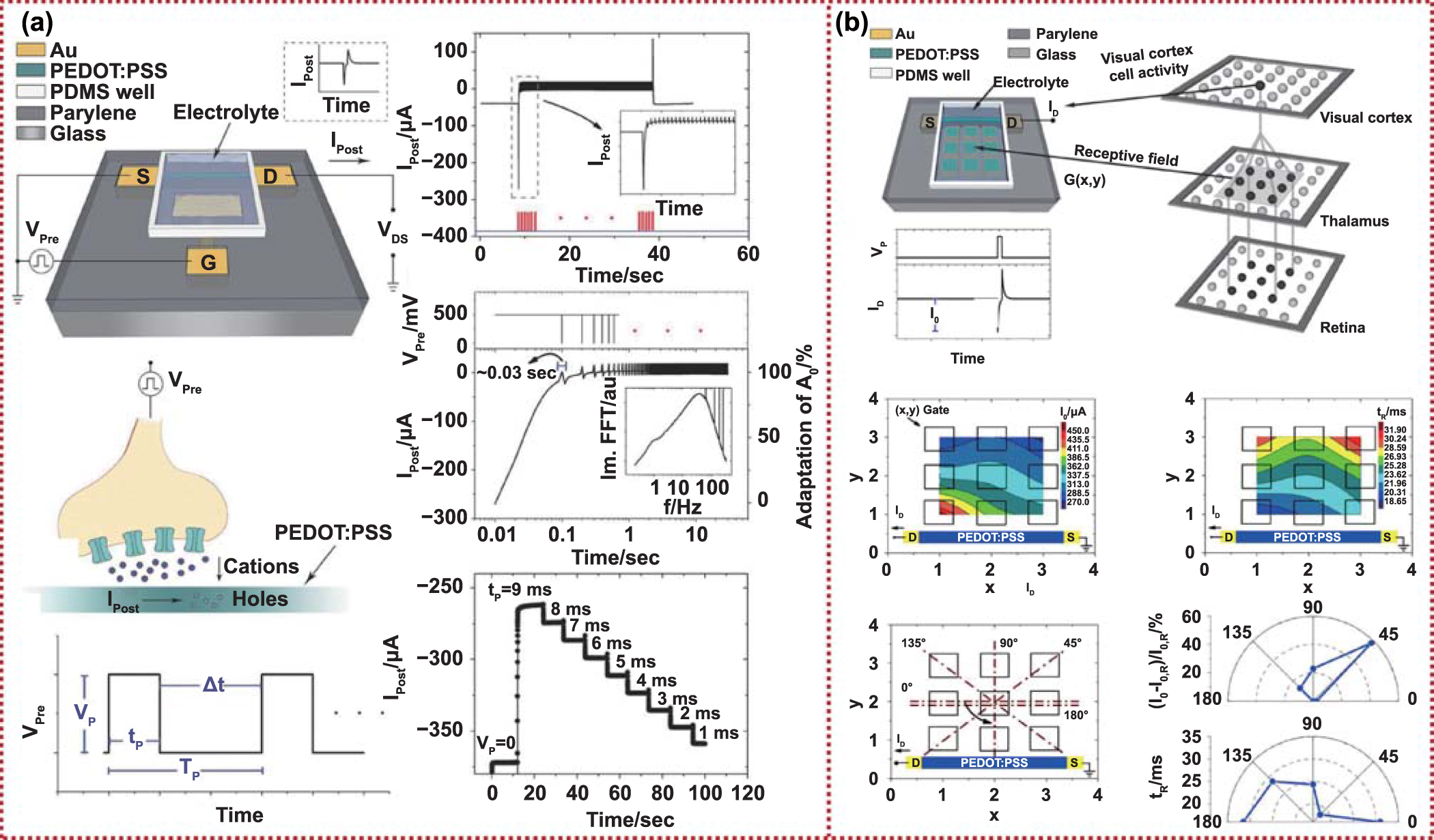 Recent advances in fabrication and functions of neuromorphic system based on organic field ...