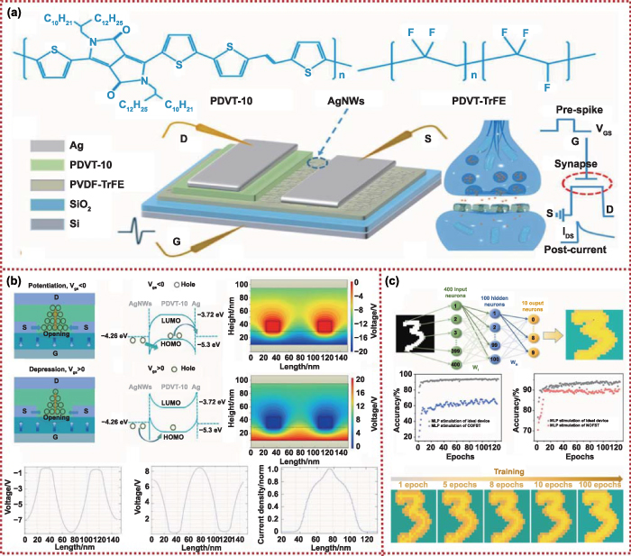 Recent advances in fabrication and functions of neuromorphic system ...