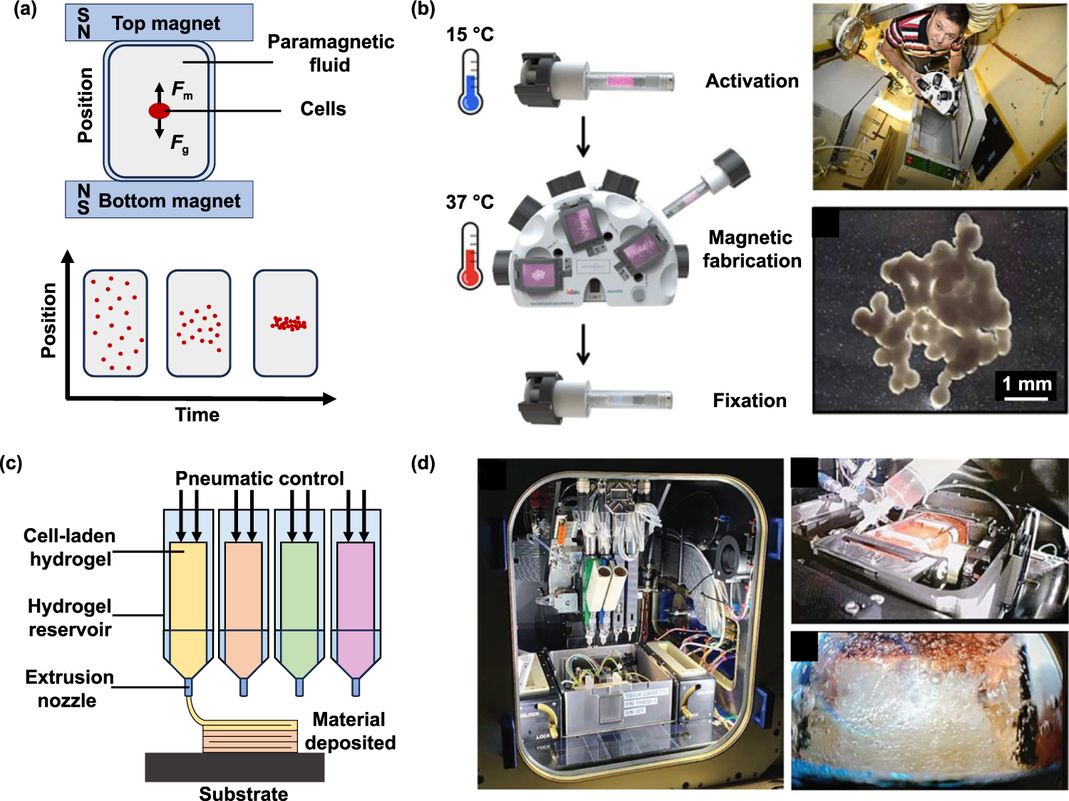 3D printing in space: from mechanical structures to living tissues ...