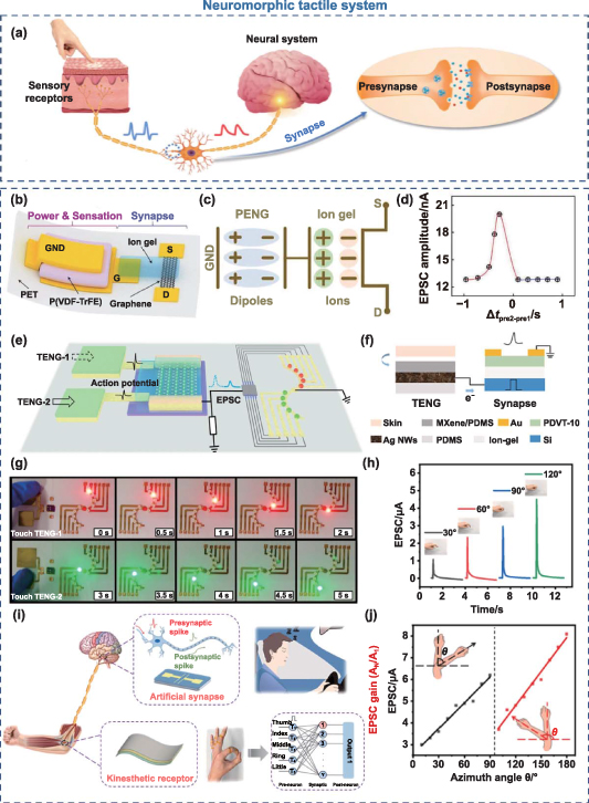 2D multifunctional devices: from material preparation to device fabrication and neuromorphic ...