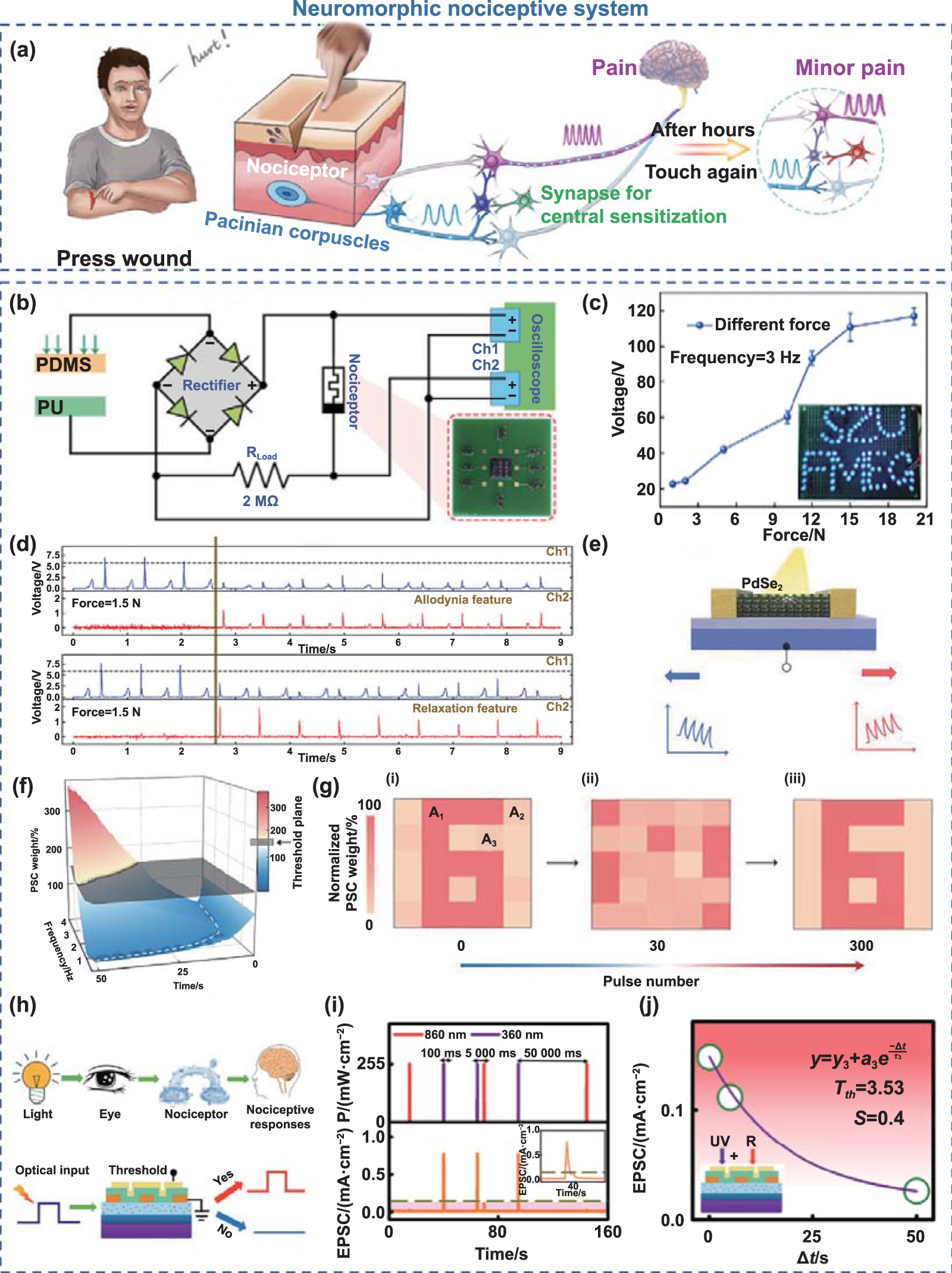 2D multifunctional devices: from material preparation to device fabrication and neuromorphic ...