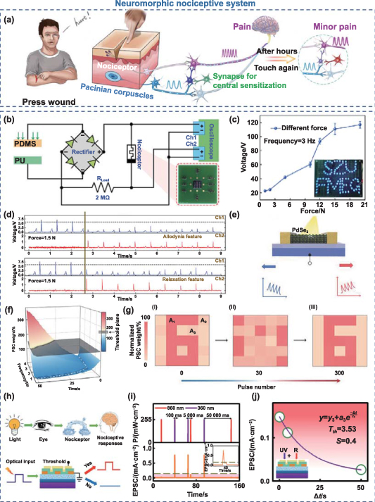 2D multifunctional devices: from material preparation to device ...