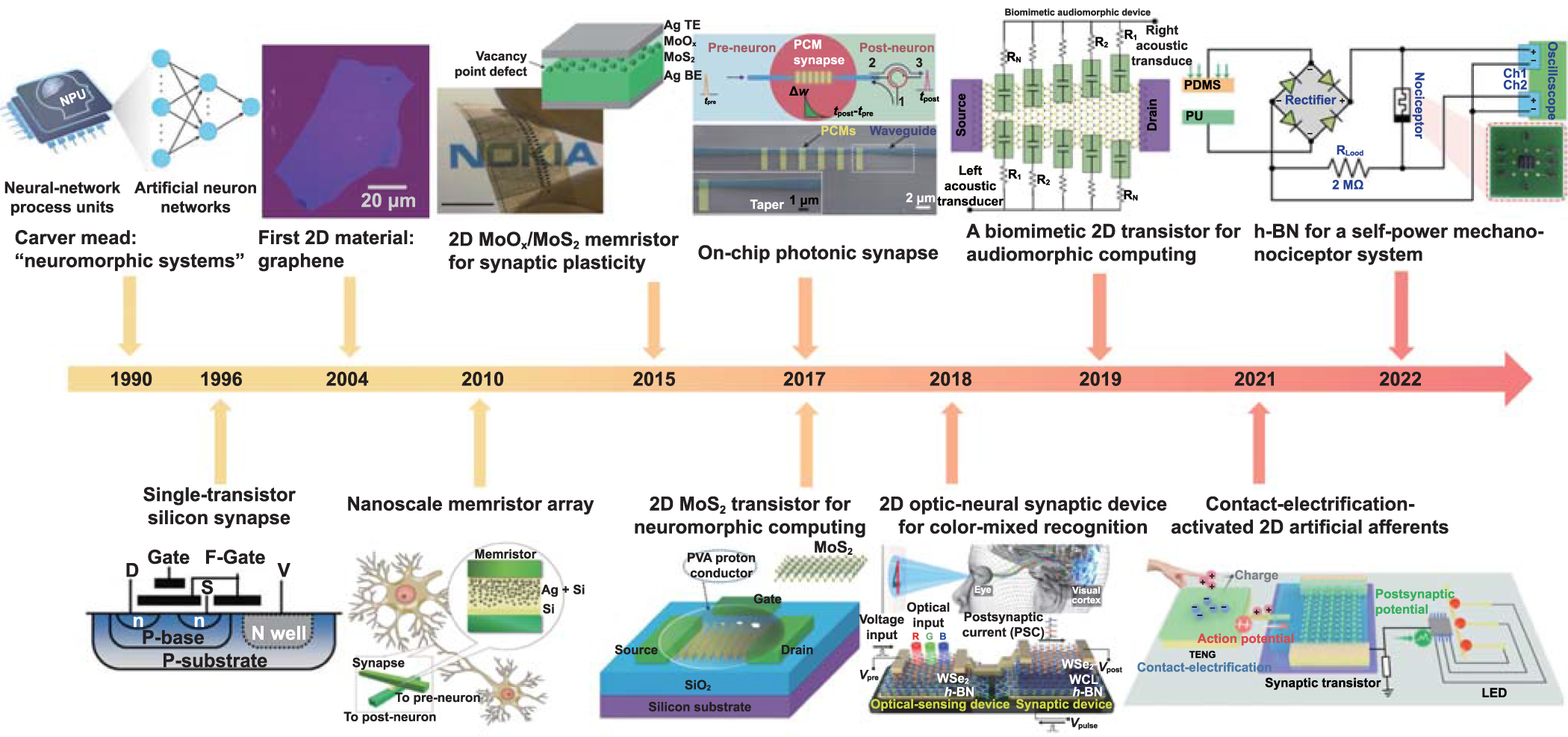 2D multifunctional devices: from material preparation to device fabrication and neuromorphic ...
