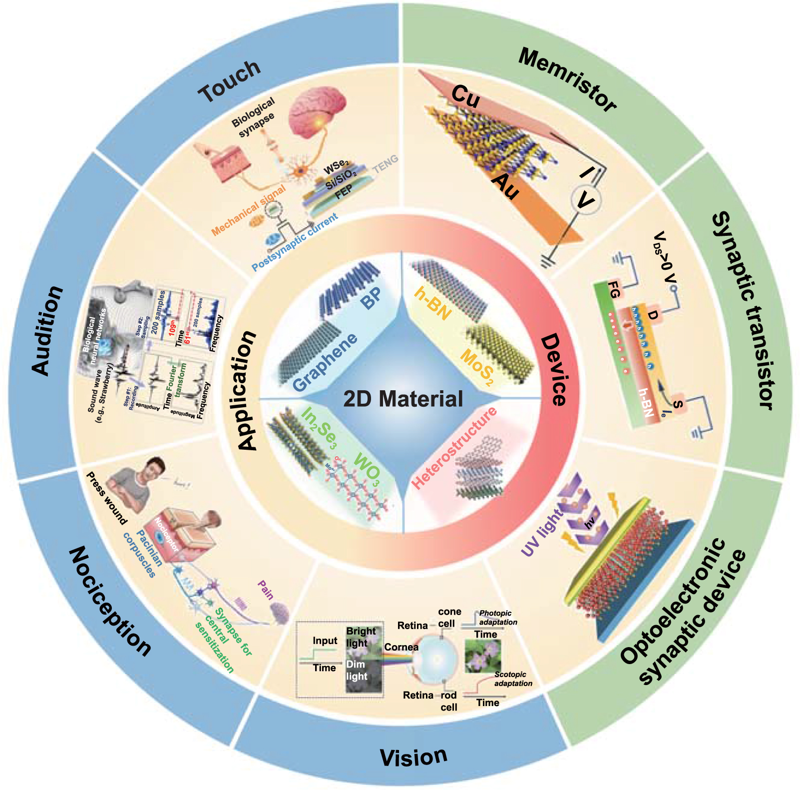 2D multifunctional devices: from material preparation to device ...
