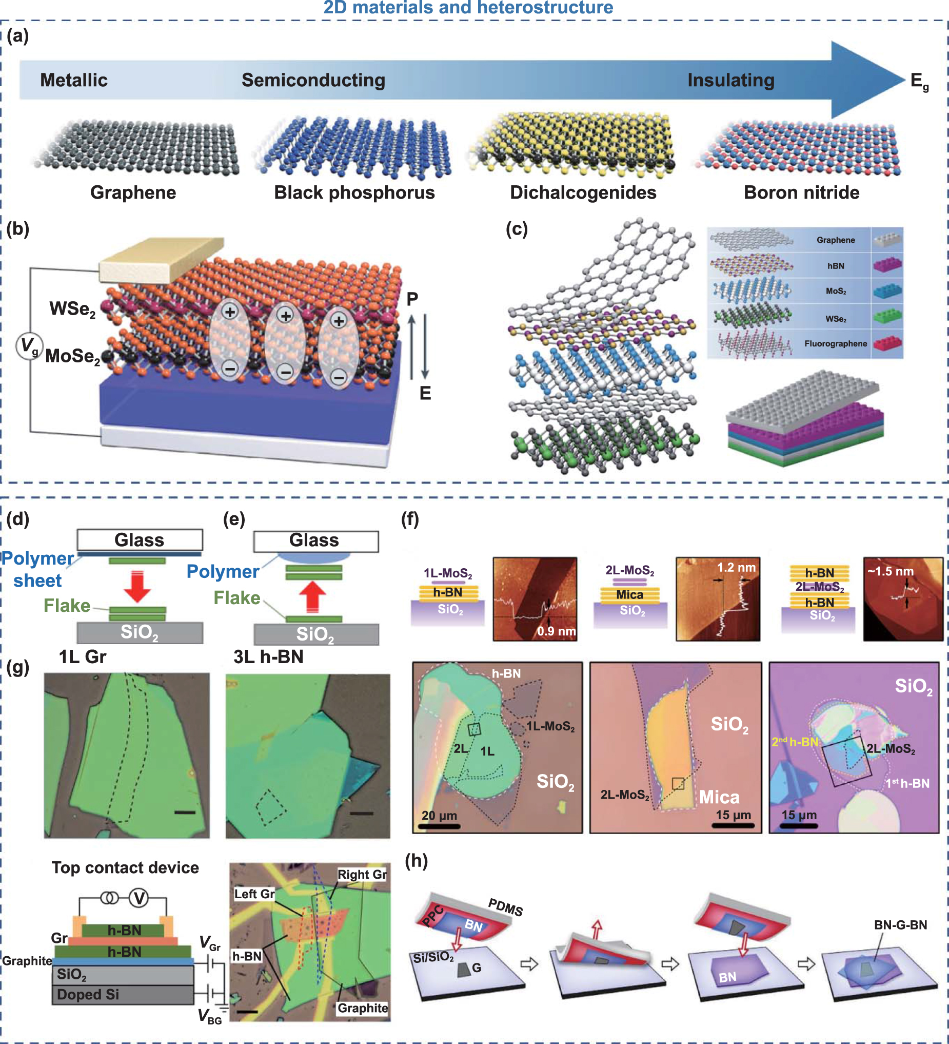 2D multifunctional devices: from material preparation to device ...