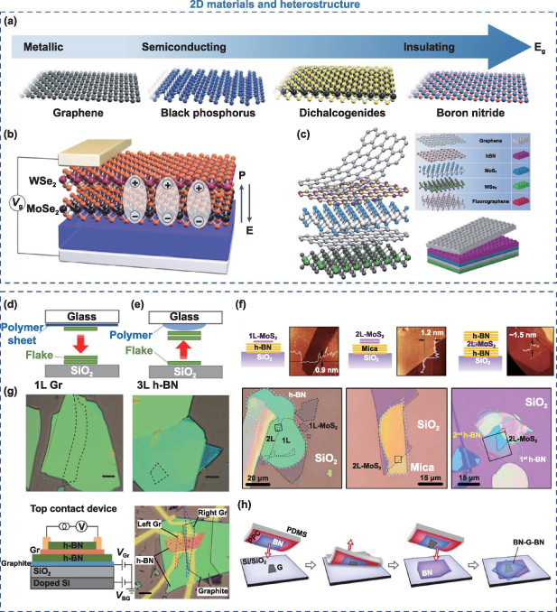 2D multifunctional devices: from material preparation to device ...