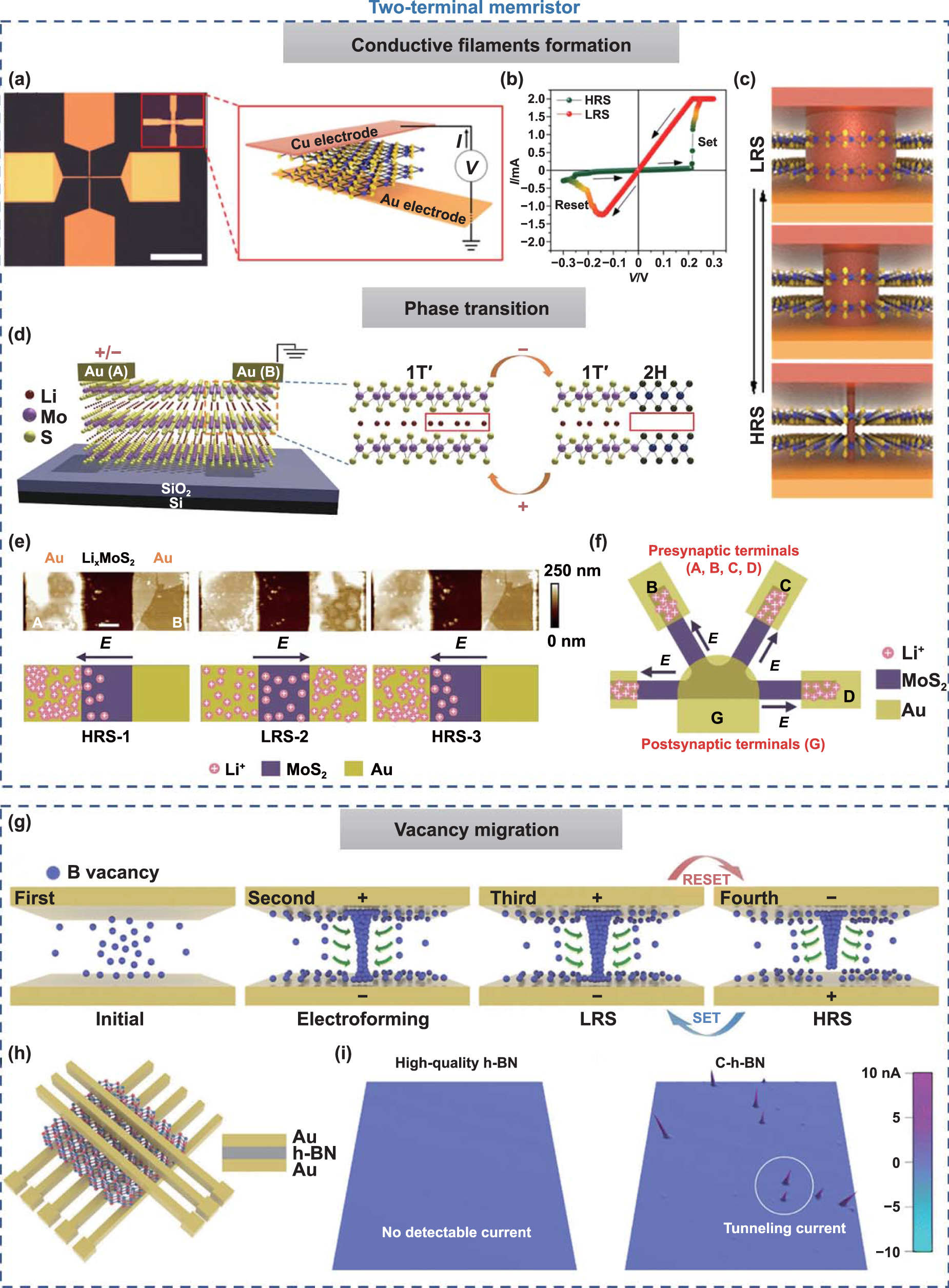2D multifunctional devices: from material preparation to device ...