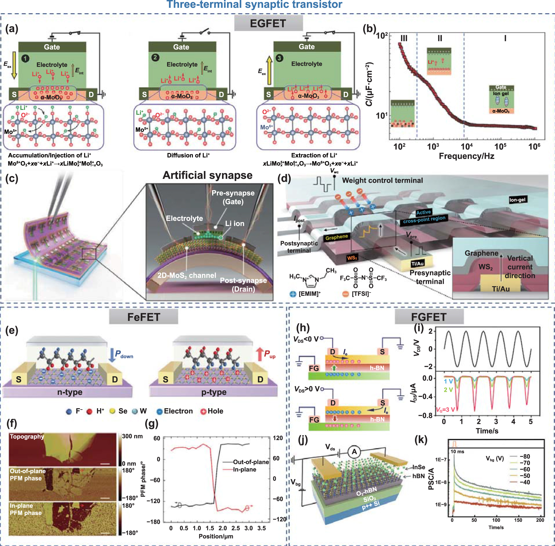 2D multifunctional devices: from material preparation to device ...