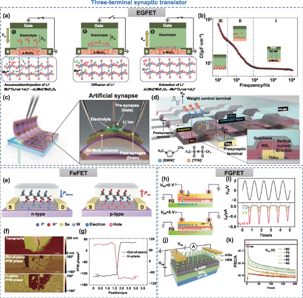 2D multifunctional devices: from material preparation to device fabrication and neuromorphic ...