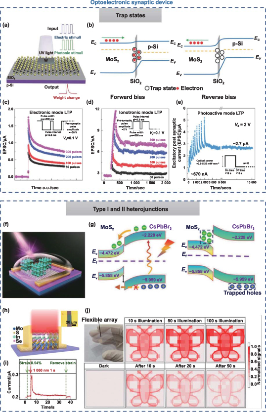 2D multifunctional devices: from material preparation to device ...
