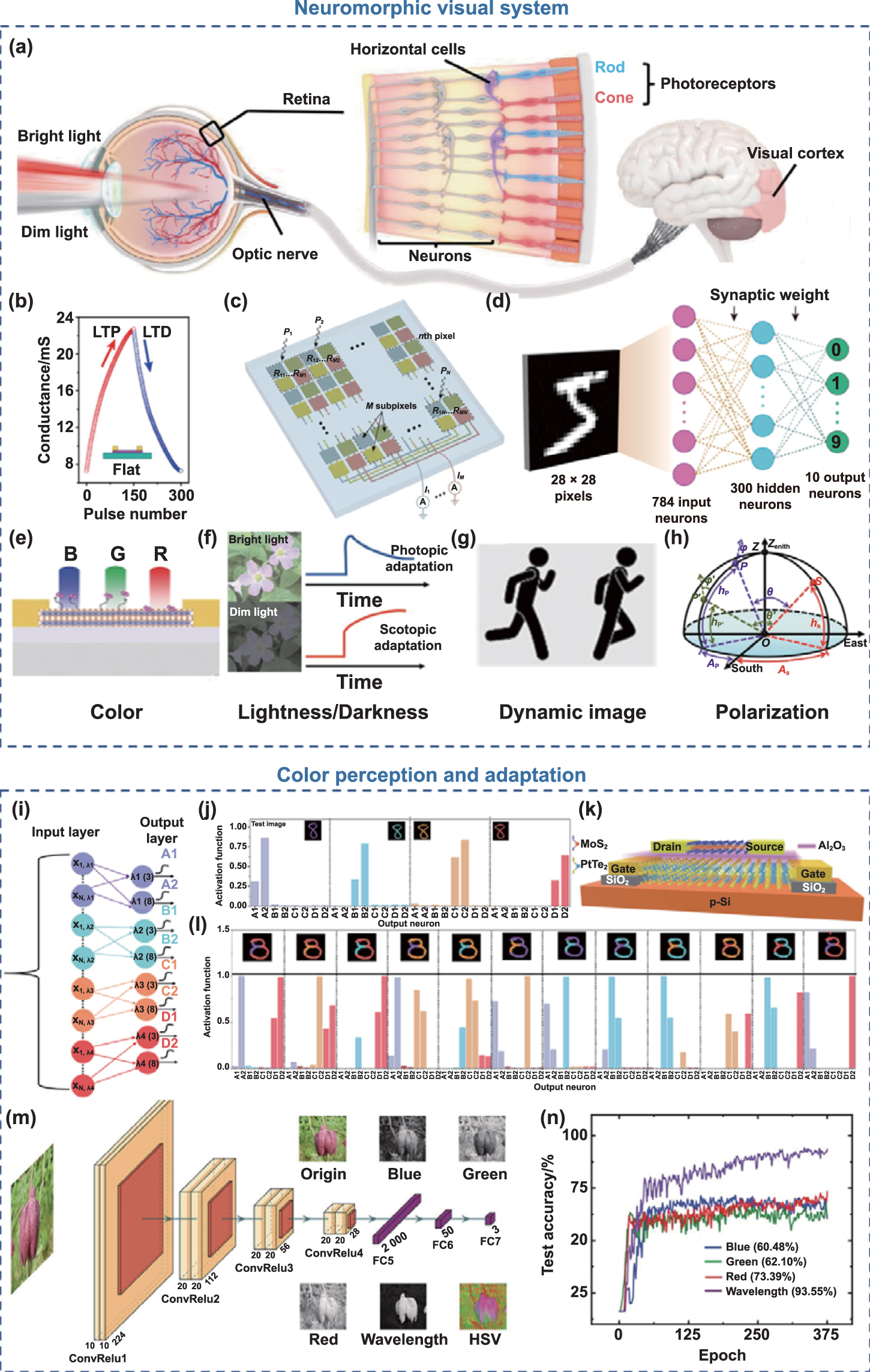 2D multifunctional devices: from material preparation to device ...