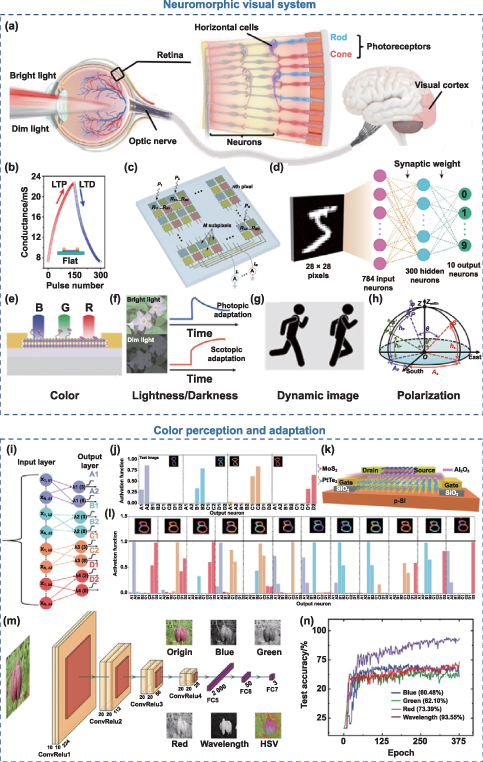 2D multifunctional devices: from material preparation to device ...