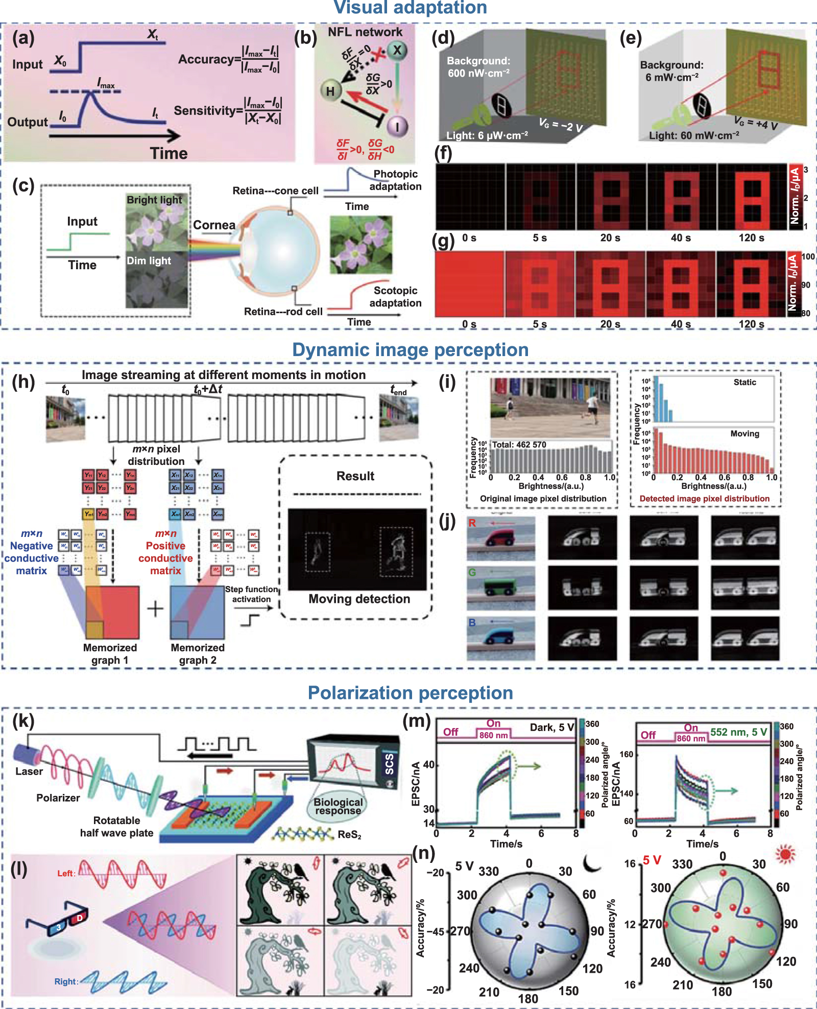 2D multifunctional devices: from material preparation to device fabrication and neuromorphic ...