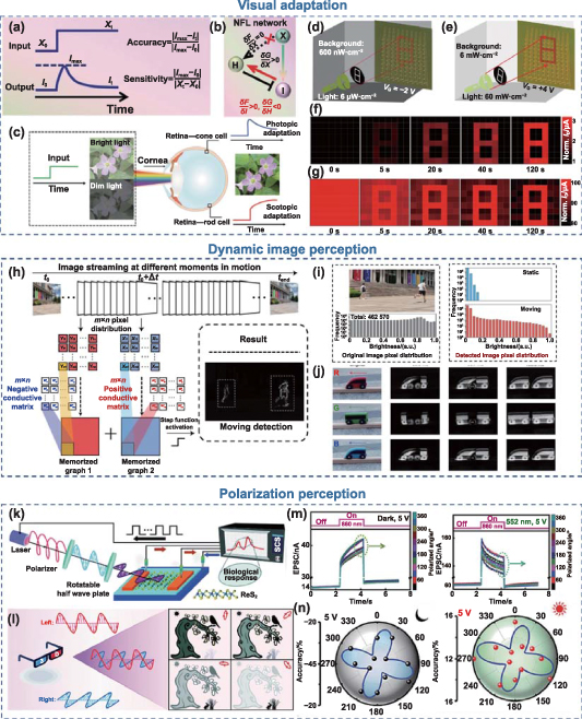 2D multifunctional devices: from material preparation to device ...
