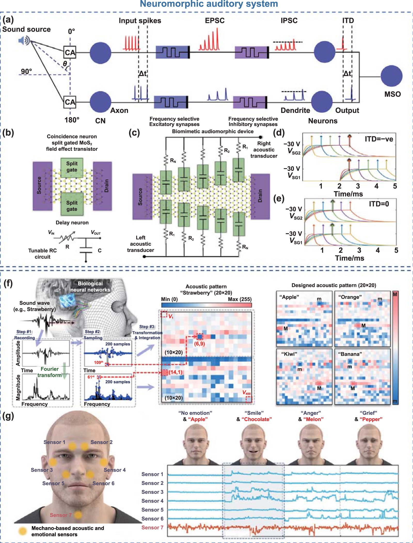 2D multifunctional devices: from material preparation to device fabrication and neuromorphic ...
