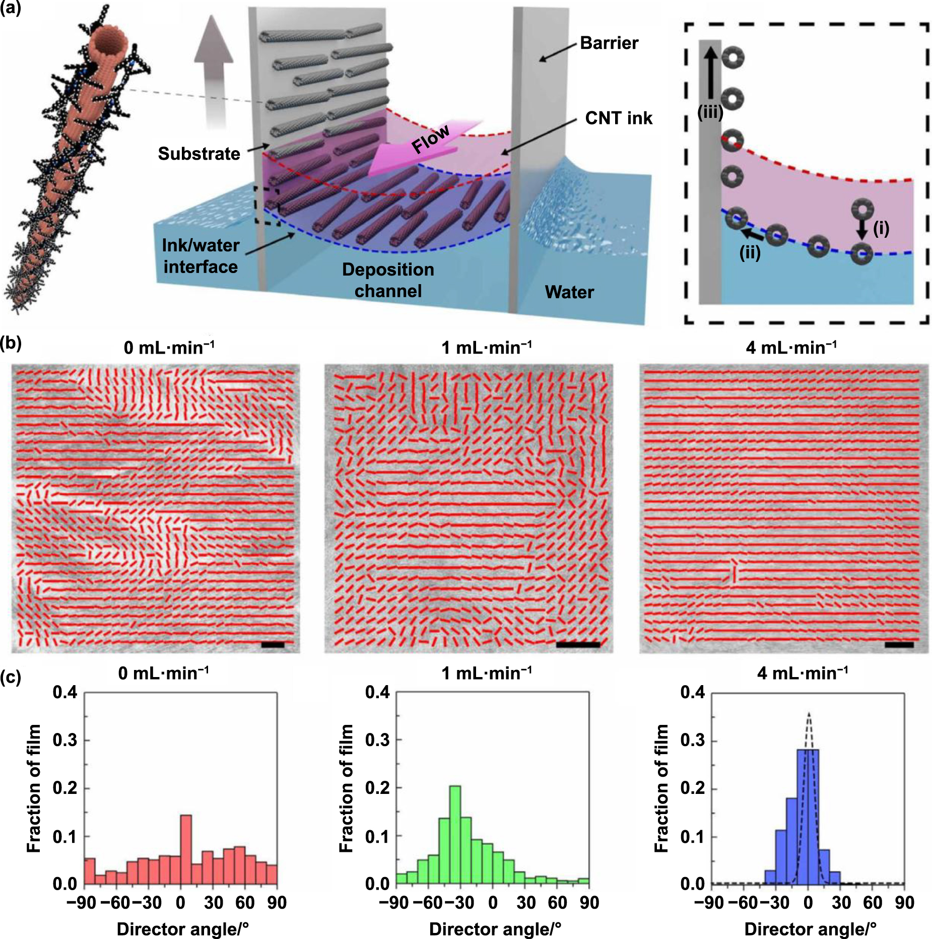 Carbon nanotube integrated circuit technology: purification, assembly ...