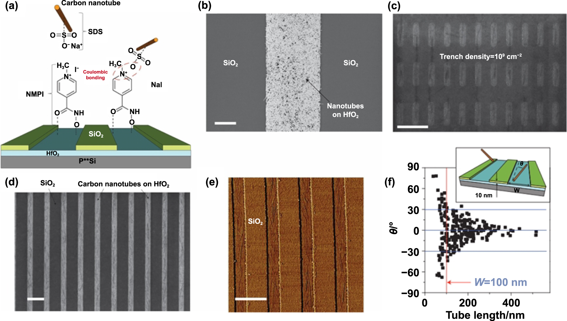 Carbon nanotube integrated circuit technology: purification, assembly ...