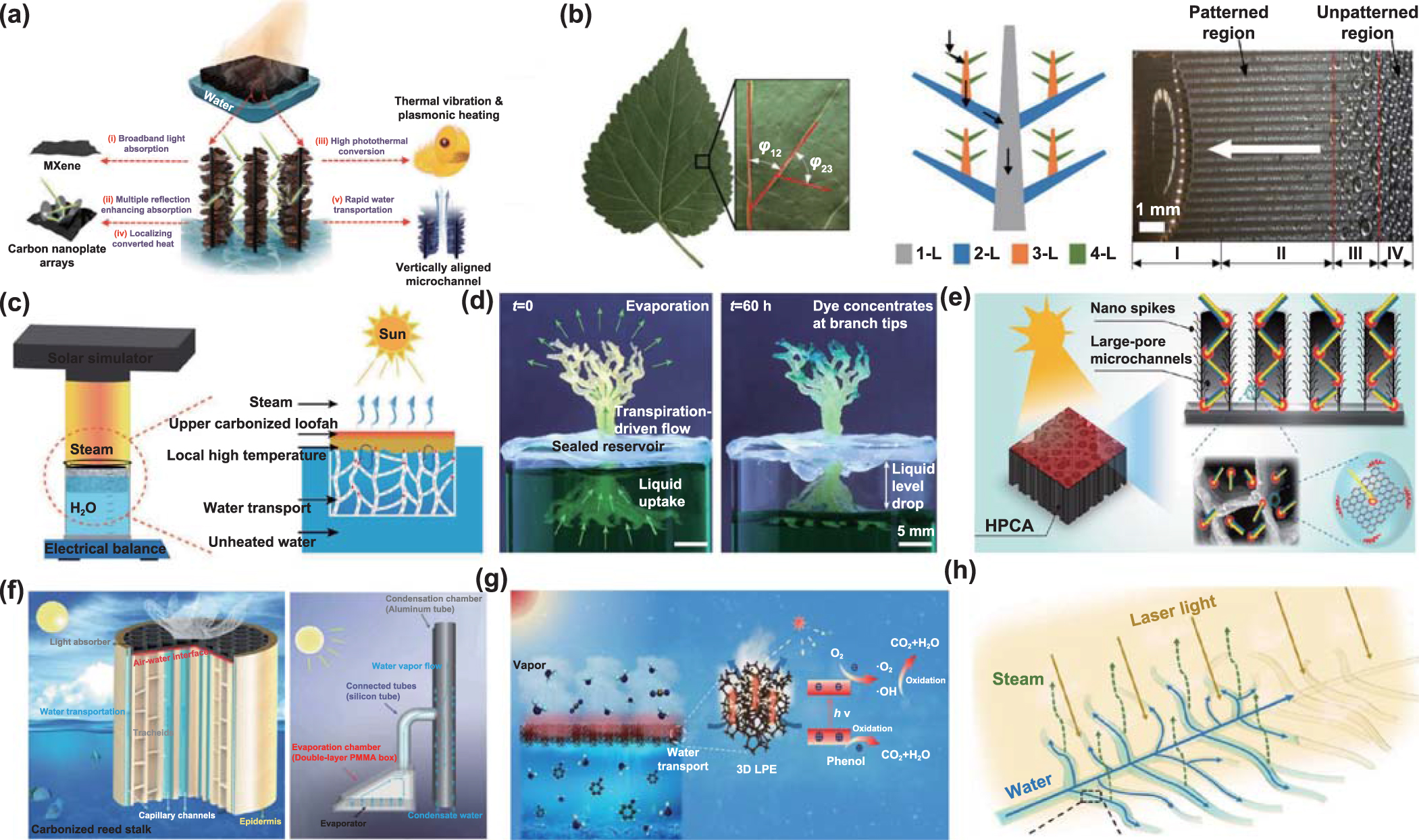 Functional microfluidics: theory, microfabrication, and applications - IOPscience