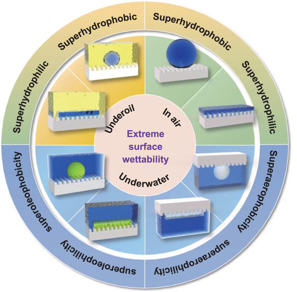 Functional microfluidics: theory, microfabrication, and applications ...