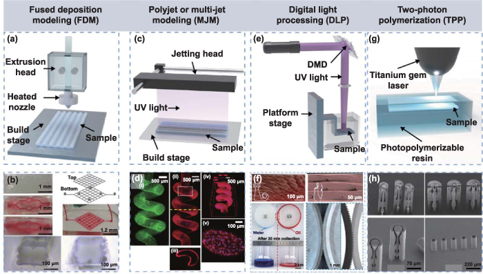 Functional microfluidics: theory, microfabrication, and applications ...